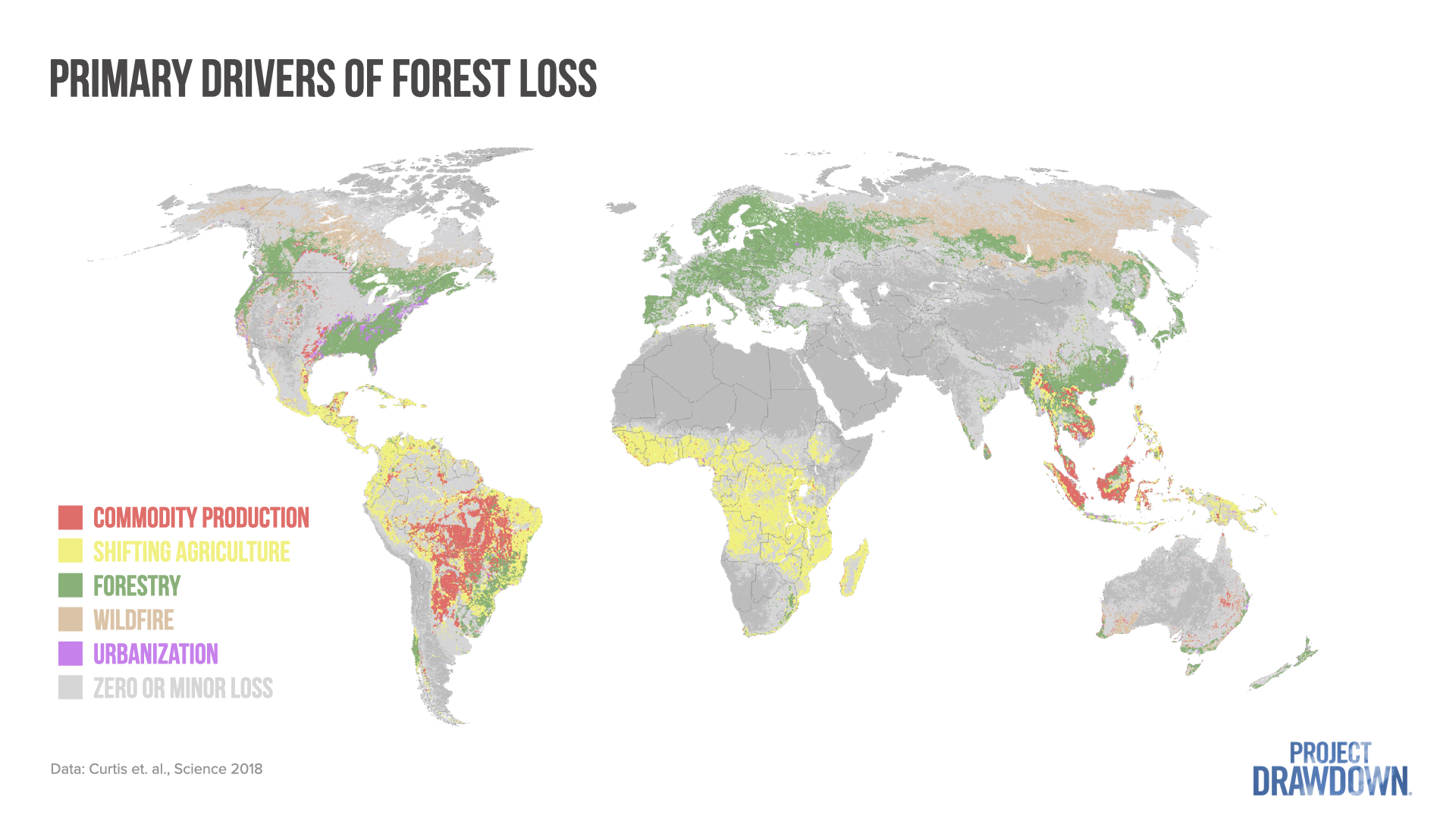 How stopping deforestation is a powerful “emergency brake” climate solution | Project Drawdown®